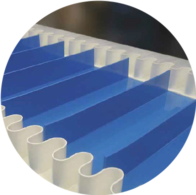 Mafdel Hygienic Food Processing & Meat Conveyor Systems NZ
